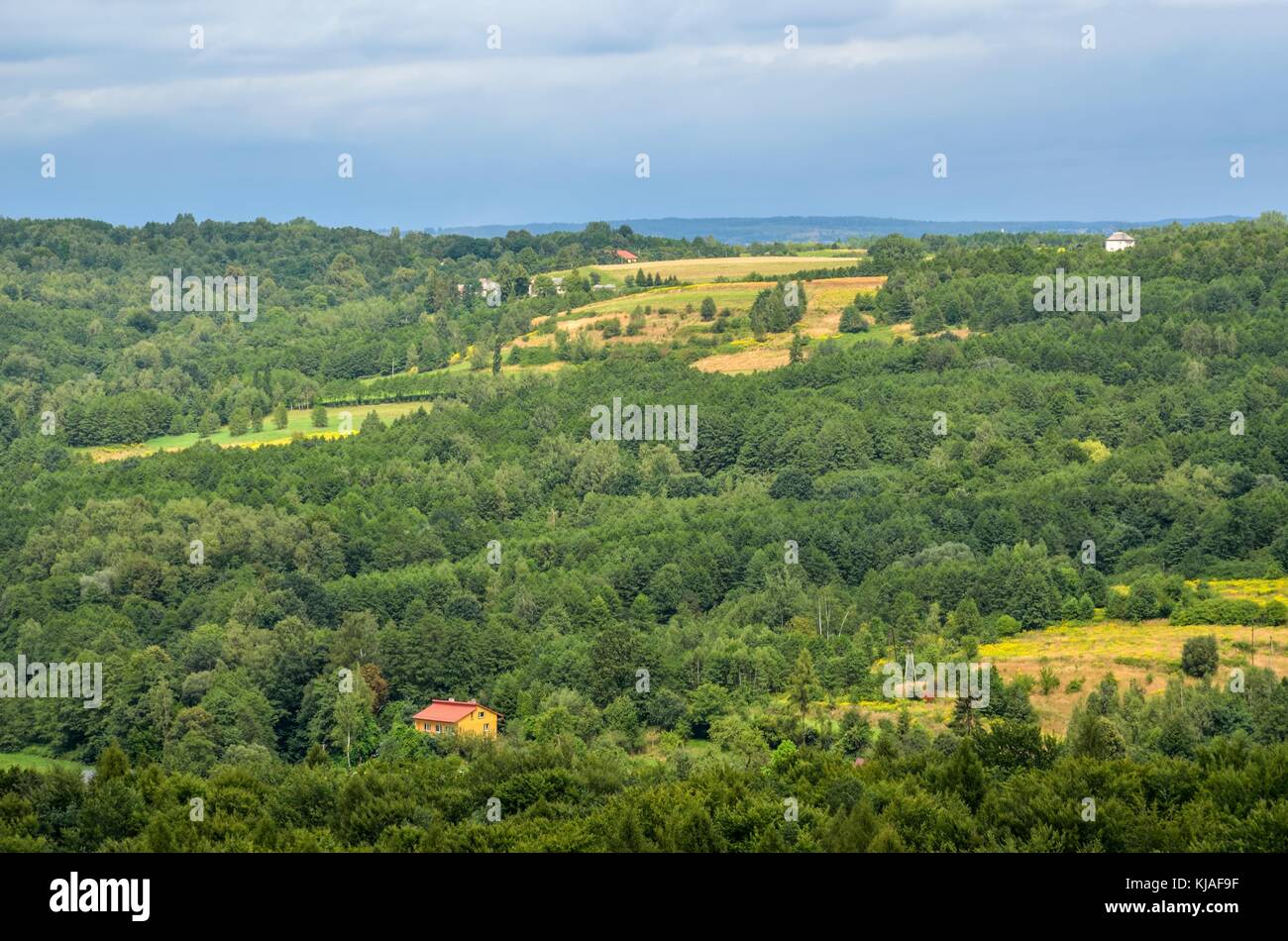 Summer rural landscape. Homes in the countryside among the green hills ...