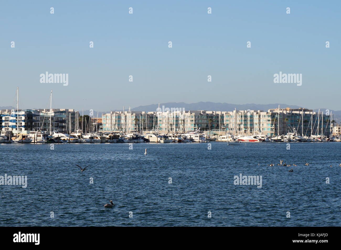 Marina del Rey - Los Angeles - USA Stock Photo - Alamy