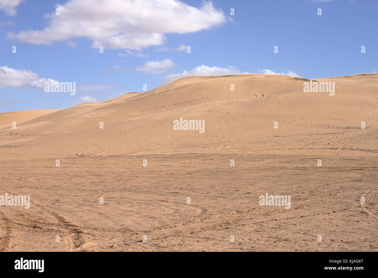 Algodones hi-res stock photography and images - Alamy