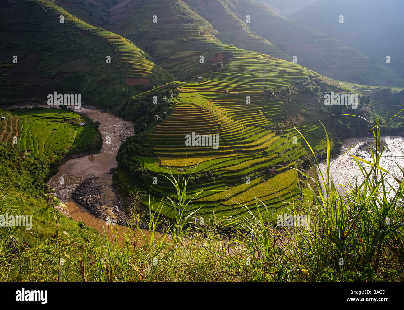 Terraced rice field with the river in Sapa, Vietnam. Sapa is famous for ...