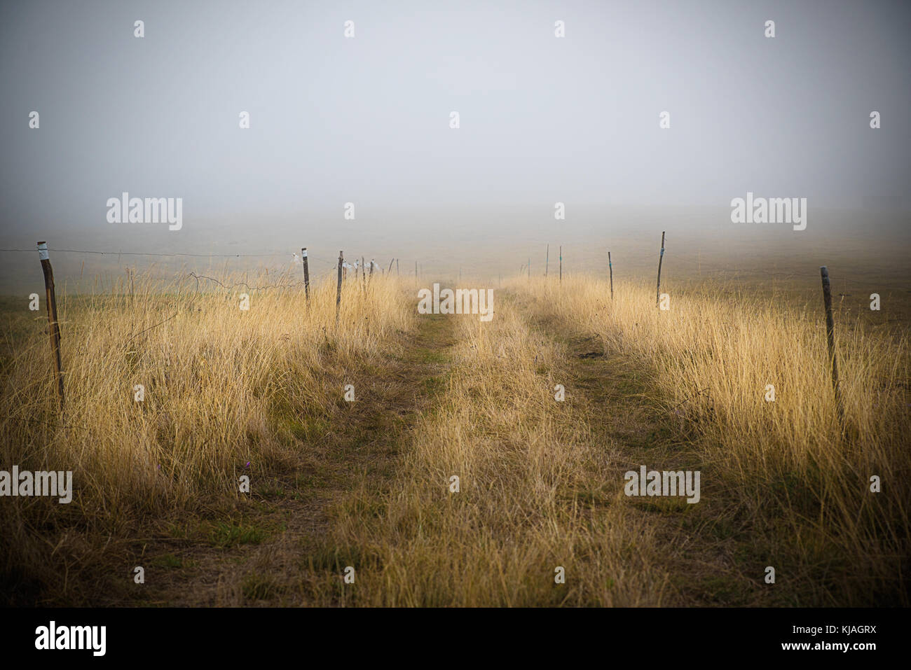 Abandoned rural road in the fog Stock Photo - Alamy