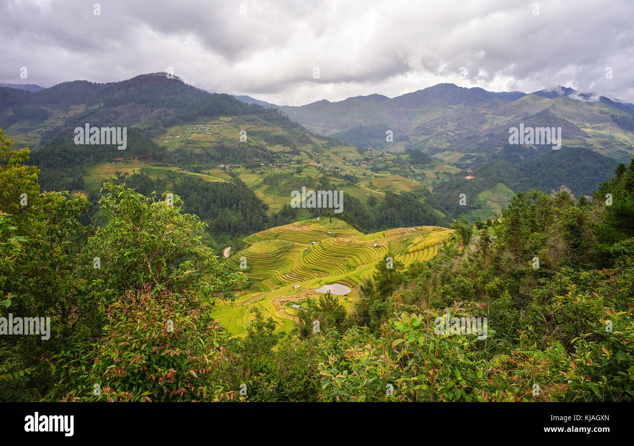 Mountain scenery with rice fields in Sapa, Northern Vietnam. Sa Pa has ...