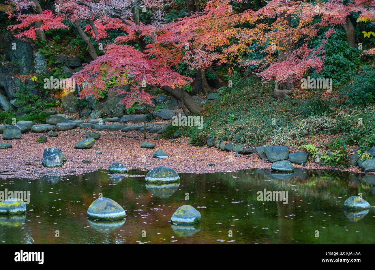 Edo period rikugien gardens hi-res stock photography and images - Alamy