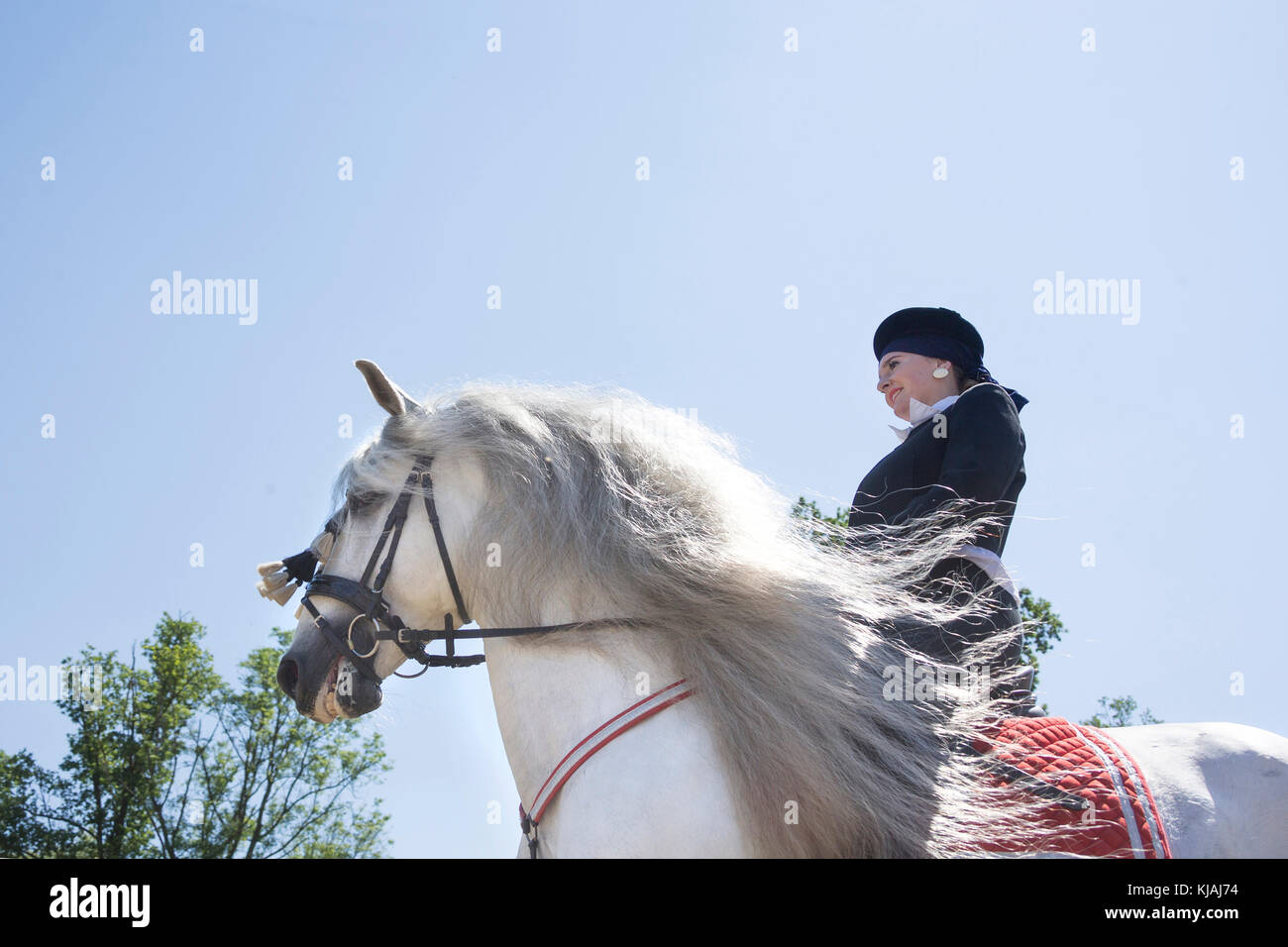 Andalusian traditional costume hi-res stock photography and images - Alamy