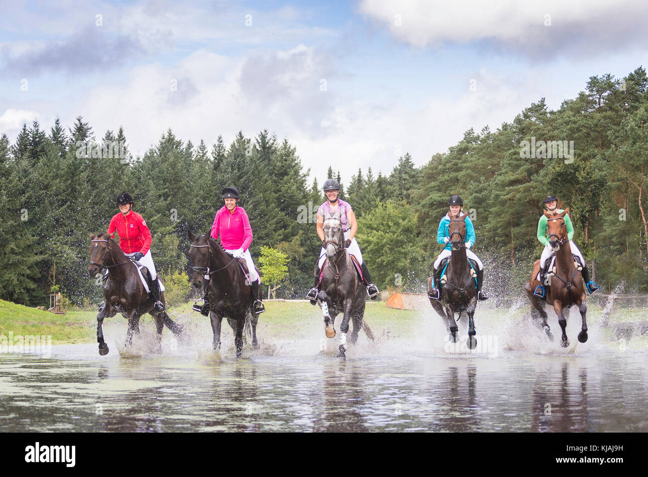 Five horse hi-res stock photography and images - Alamy