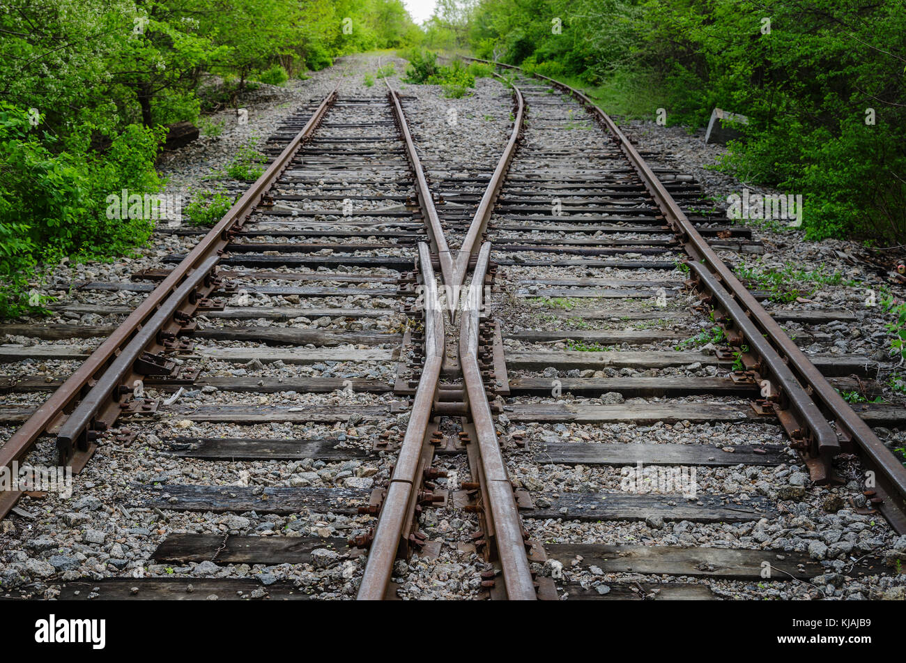 crossing of two old railroad in wood Stock Photo - Alamy