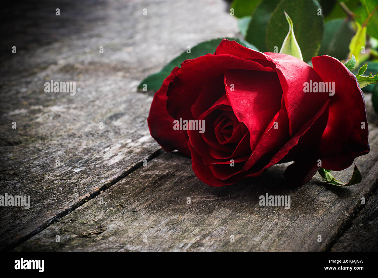Beautiful red roses on the old board Stock Photo - Alamy
