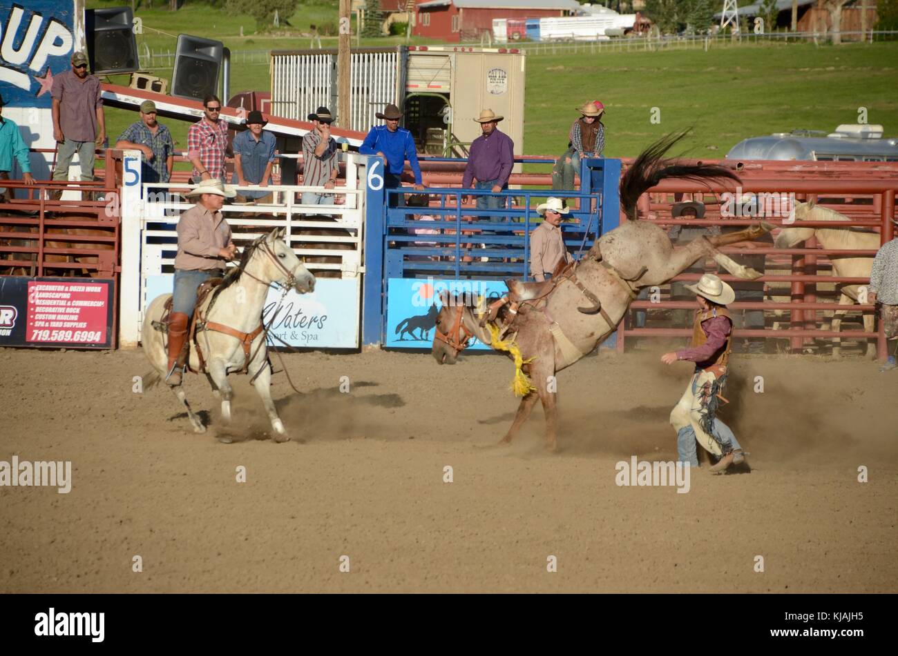 Old rodeo cowboys hi-res stock photography and images - Alamy