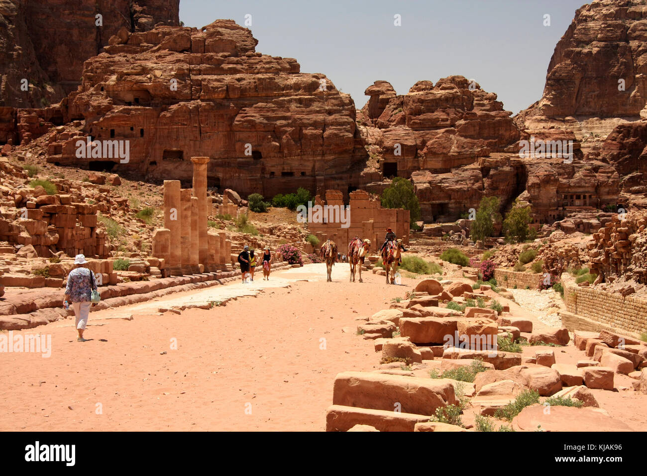Colonnaded Street (Cardo Maximus), Petra, Jordan Stock Photo - Alamy