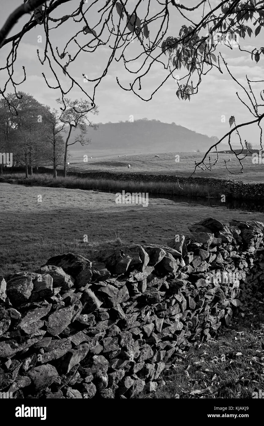 Yorkshire Dales landscape in Autumn, Austwick, nr. Settle, North ...