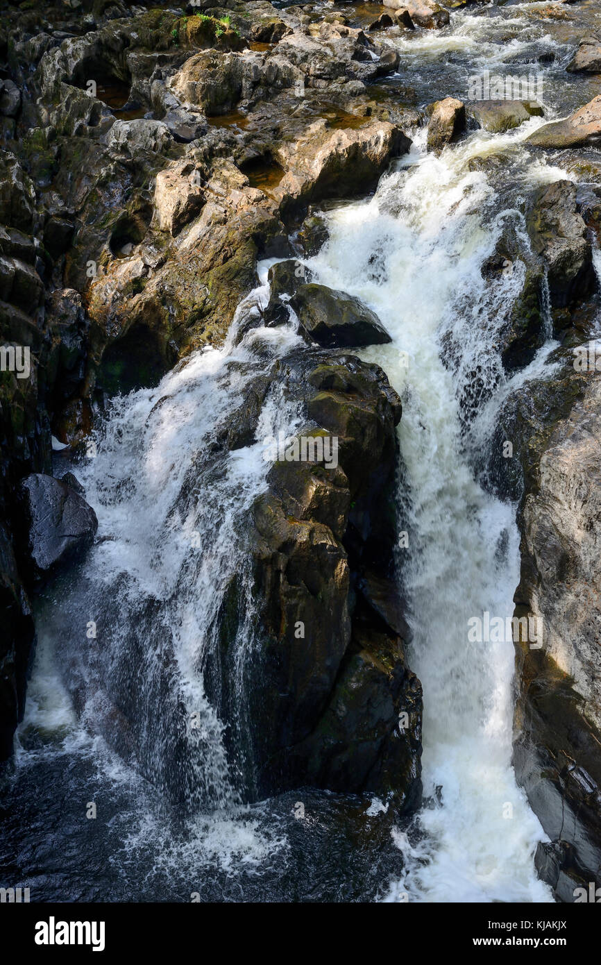 Craigvinean forest hi-res stock photography and images - Alamy
