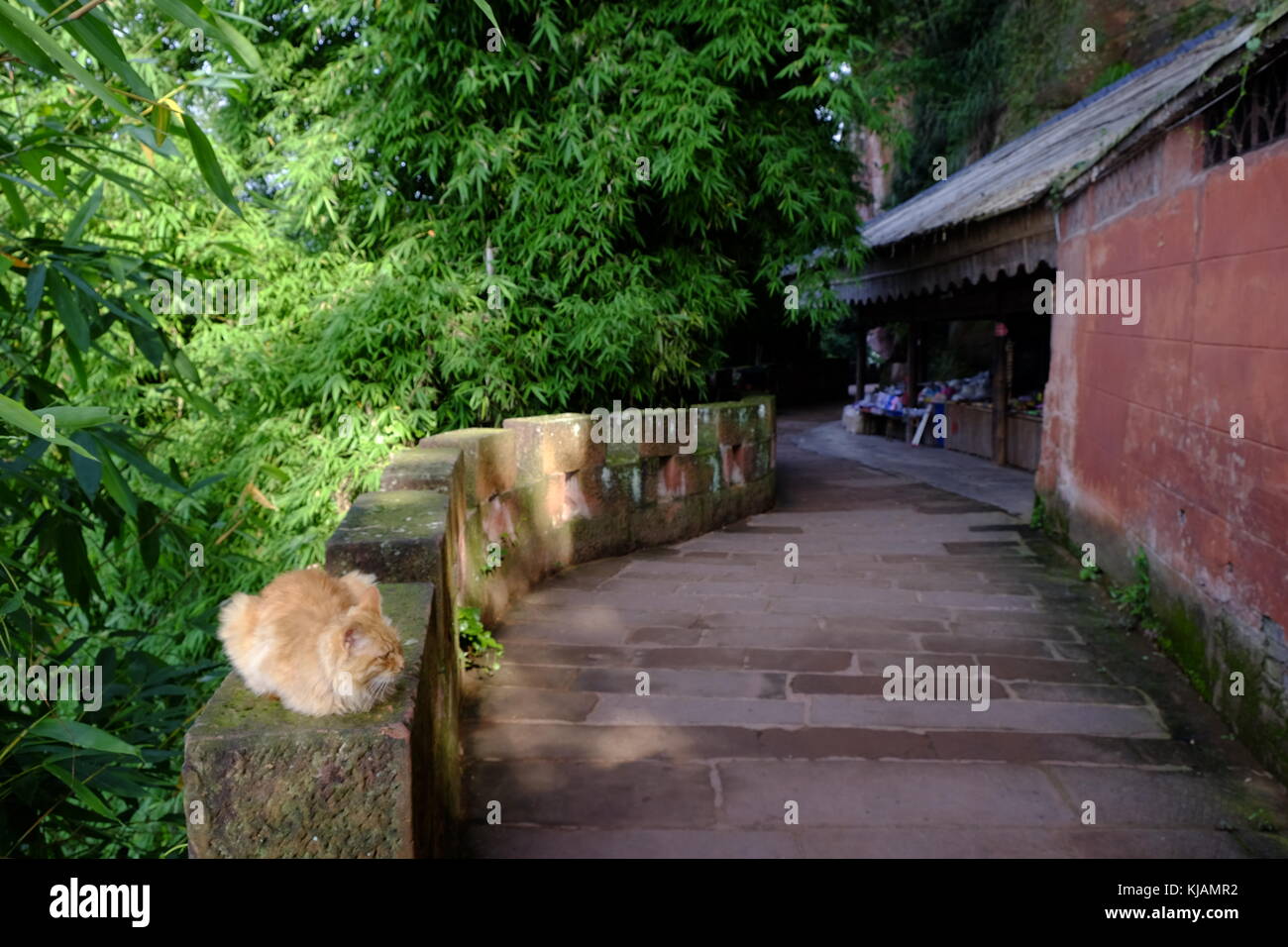 Shunan zhuhai national park hi-res stock photography and images - Alamy