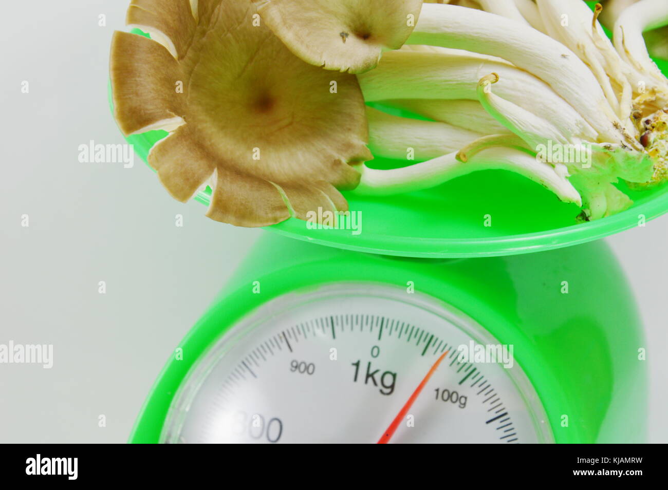 Indian mushroom on green weighing scale Stock Photo - Alamy