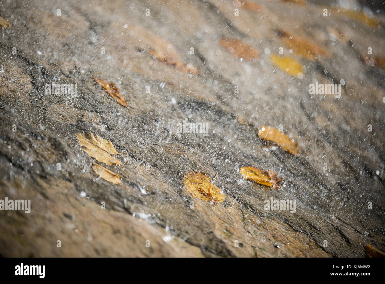 Autumn rain on a stone path Stock Photo - Alamy