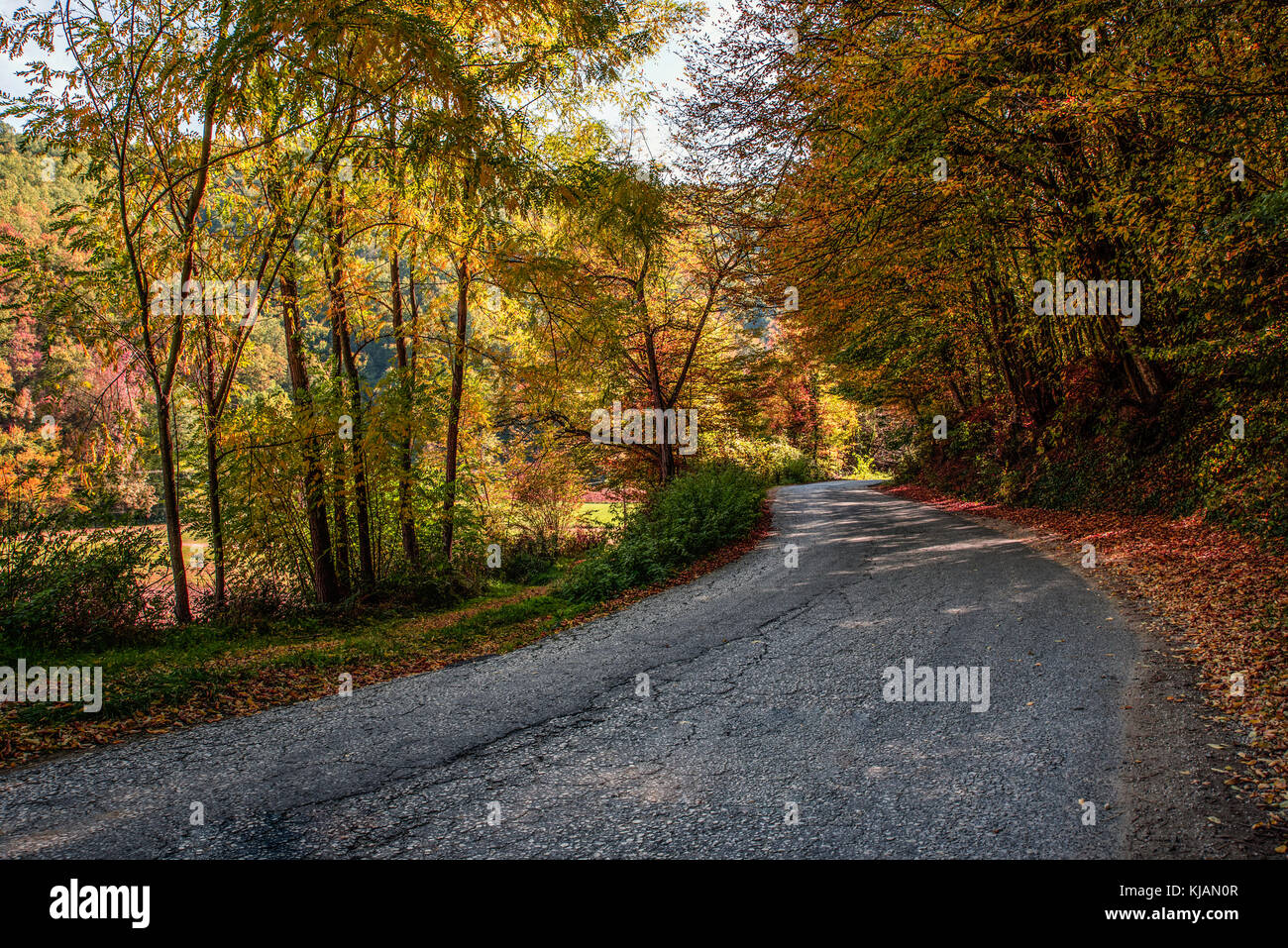 Old asphalt road, autumn landscape Stock Photo - Alamy
