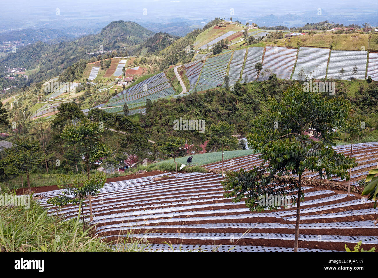 Mount lawu hi-res stock photography and images - Alamy