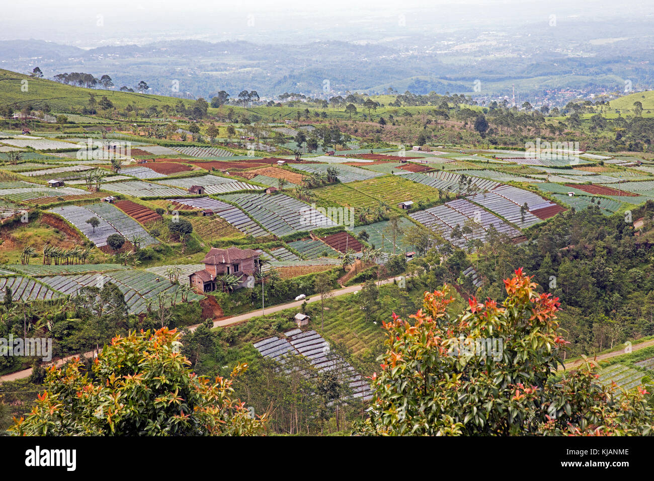 Mount lawu hi-res stock photography and images - Alamy