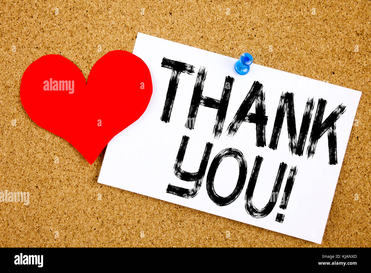 Conceptual hand writing text caption inspiration showing Thank You ...