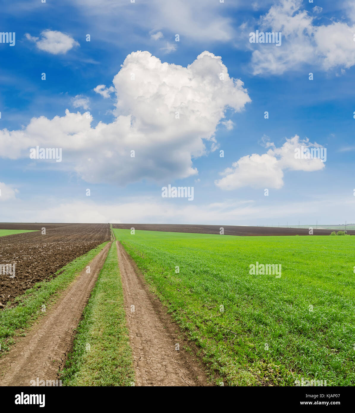 road in spring fields and blue sky with clouds over it Stock Photo - Alamy