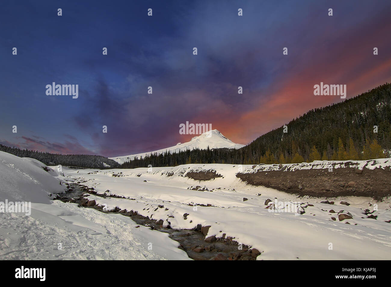 Winter Wonderland at Mount Hood National Forest in Oregon during Winter ...