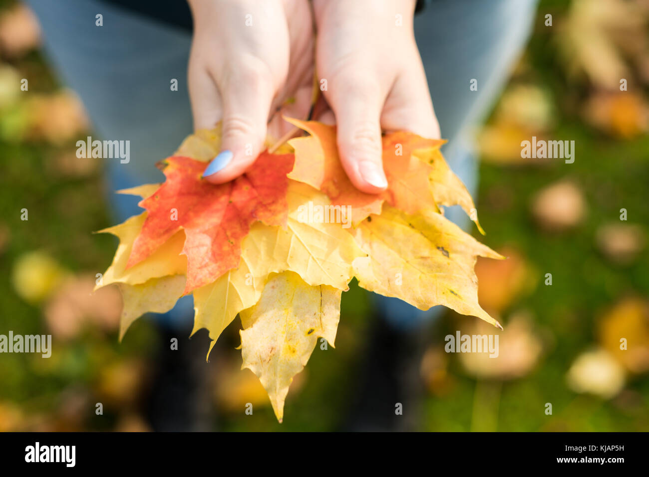 Playful vibes hi-res stock photography and images - Alamy
