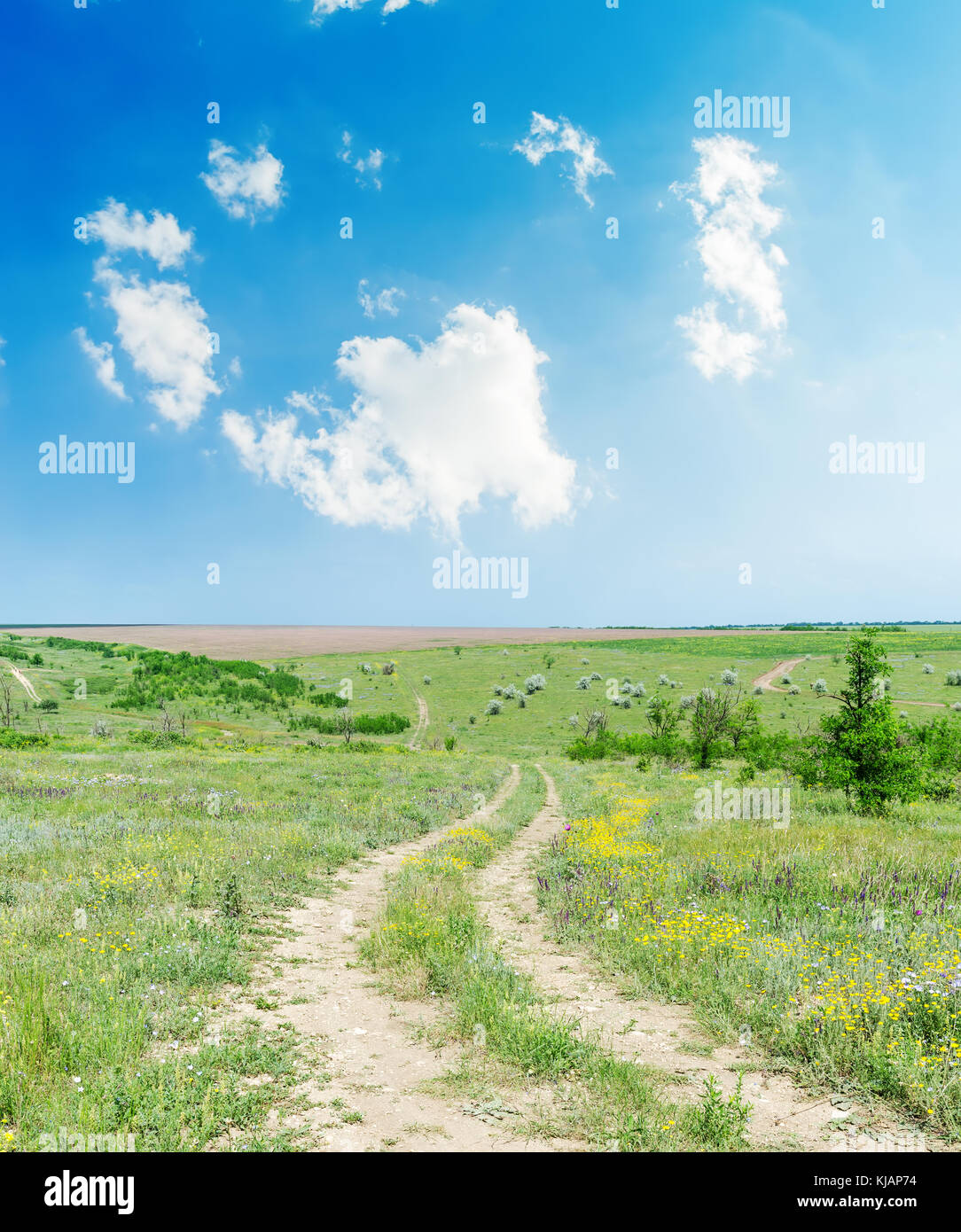 rural road in green landscape and white clouds in blue sky Stock Photo ...