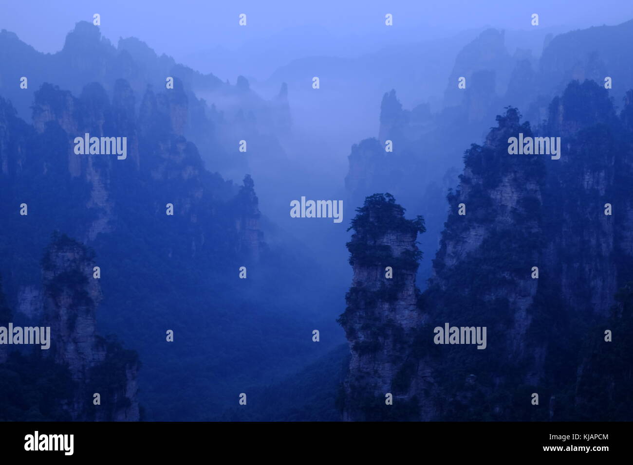 Floating mountains of Zhangjiajie at the blue hours just after sunset ...