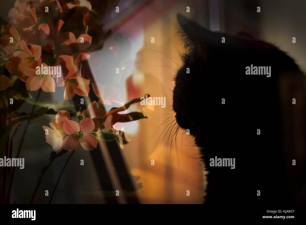 Reflections of spring hi-res stock photography and images - Alamy