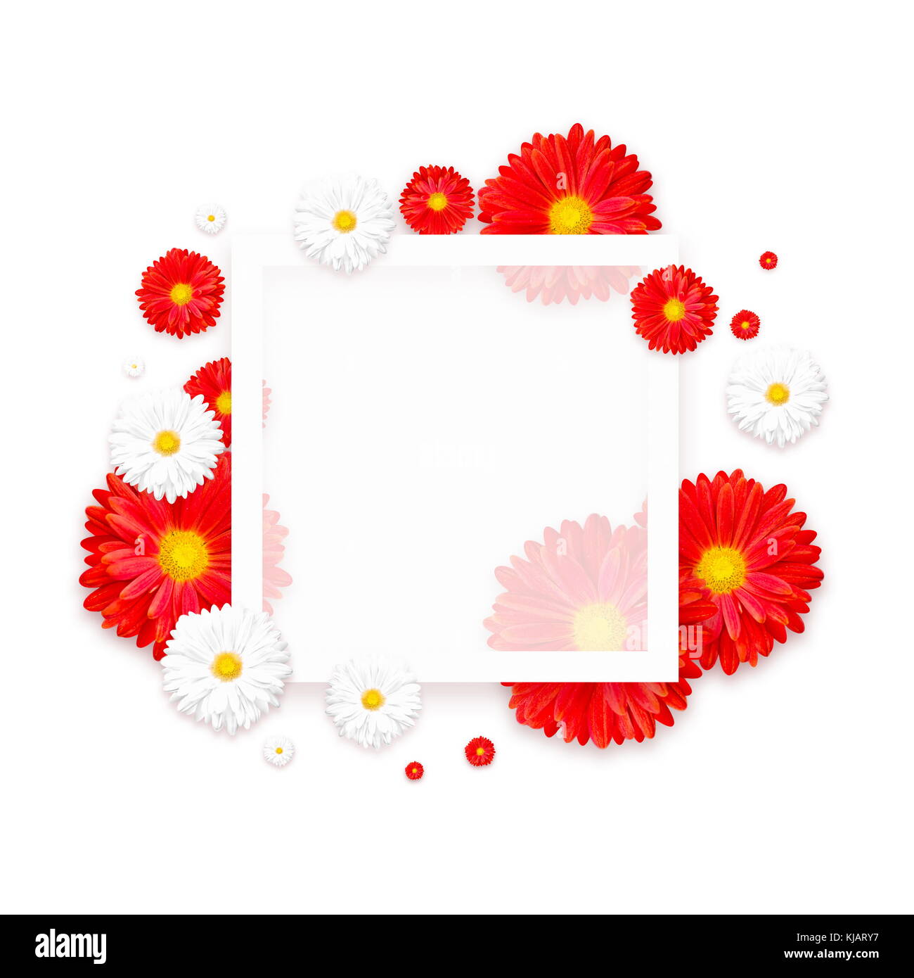 White background with beautiful colorful flower. Wallpaper flyers ...