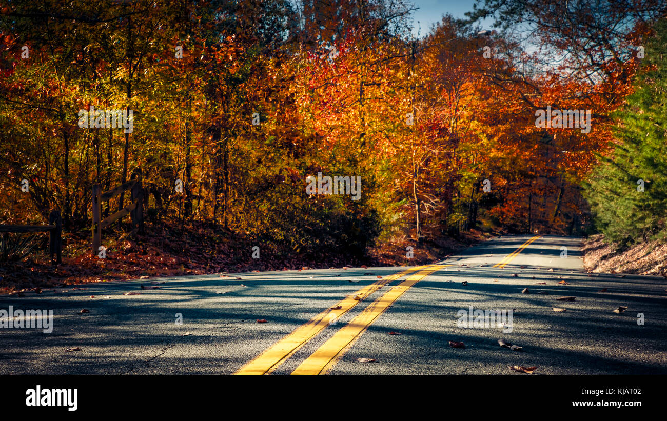 Old Colchester Road in Mason Neck, Virginia with plenty of fall colors ...