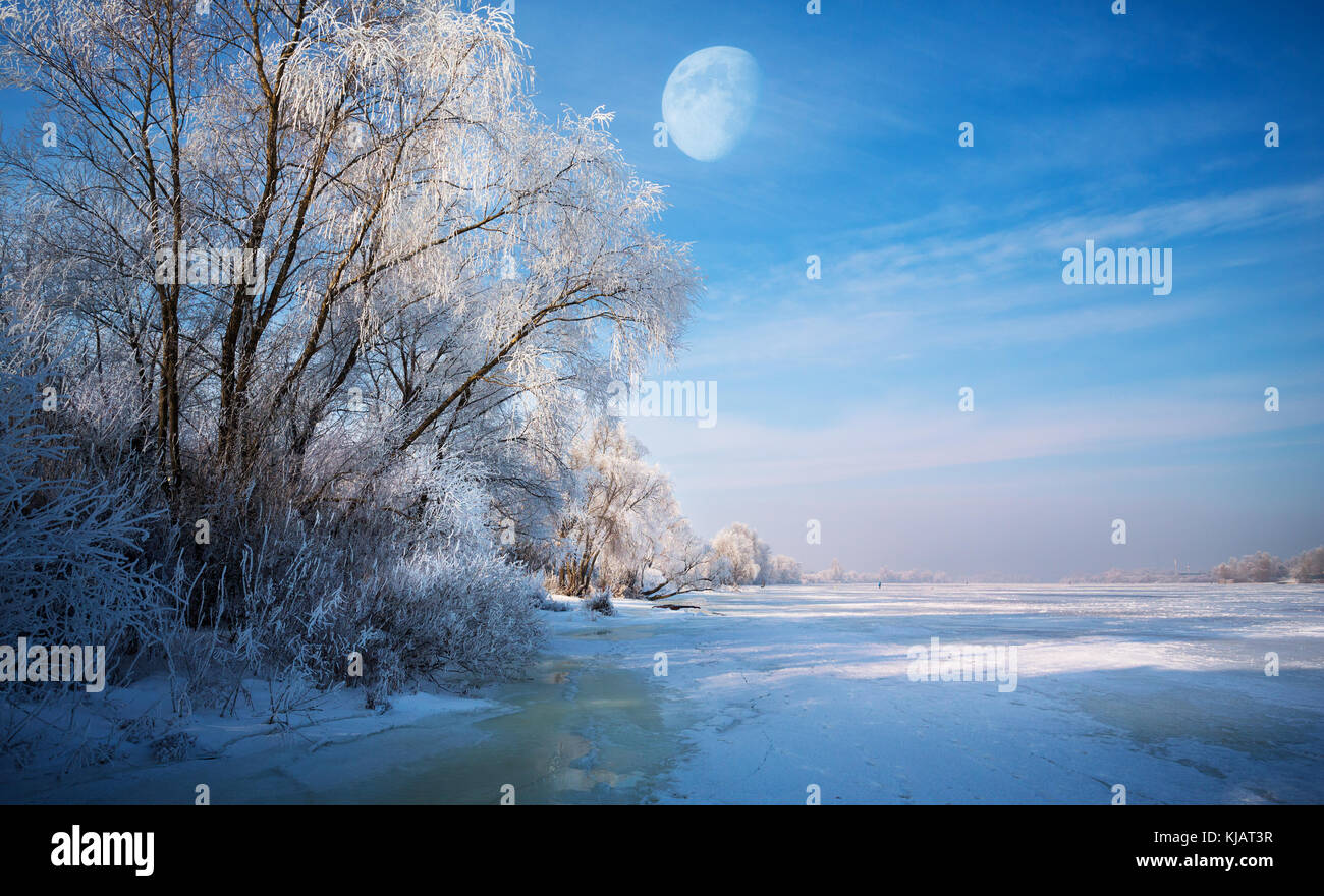Beautiful tree in winter landscape Stock Photo - Alamy