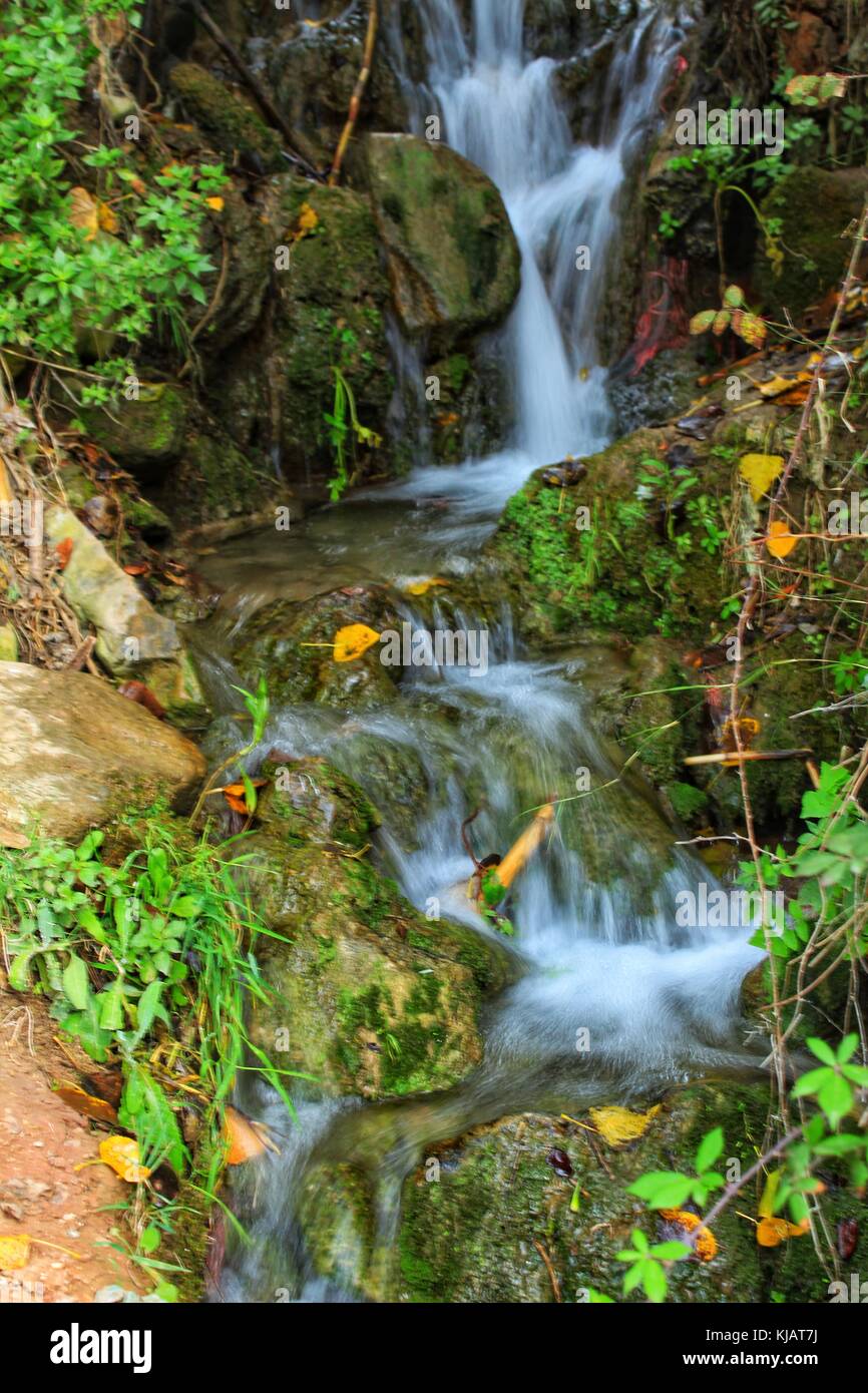 Waterfall in leafy forest Stock Photo - Alamy