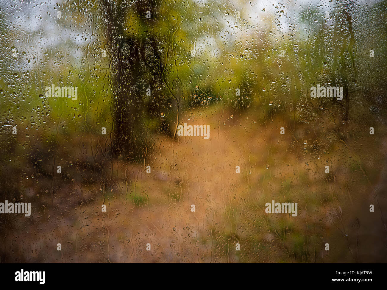 Autumn rainy day, the view through the glass with drops of water Stock ...