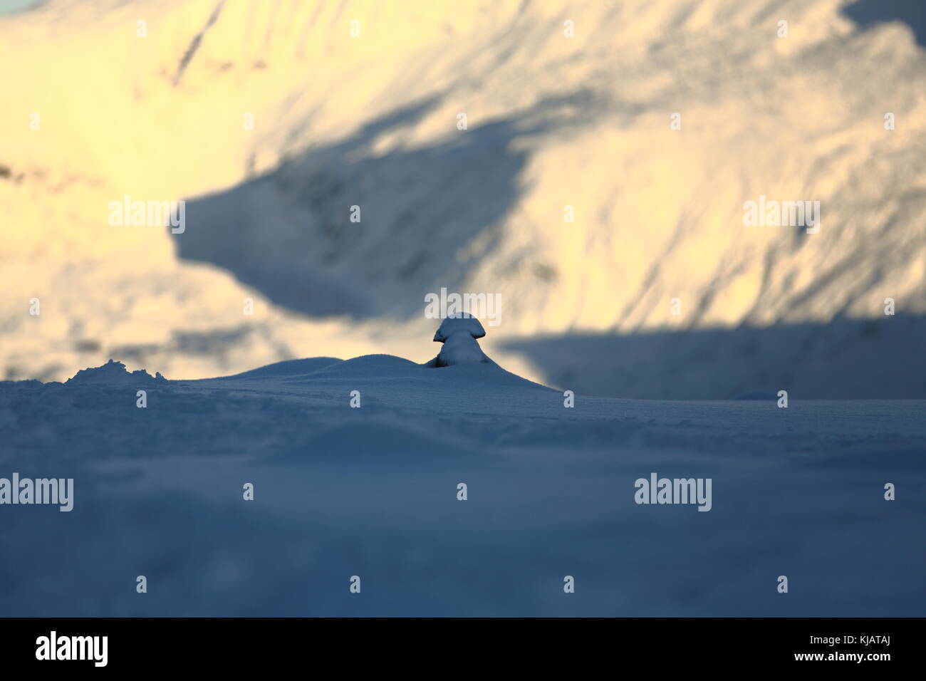 Small Stone Cairn In The Snow Stock Photo - Alamy