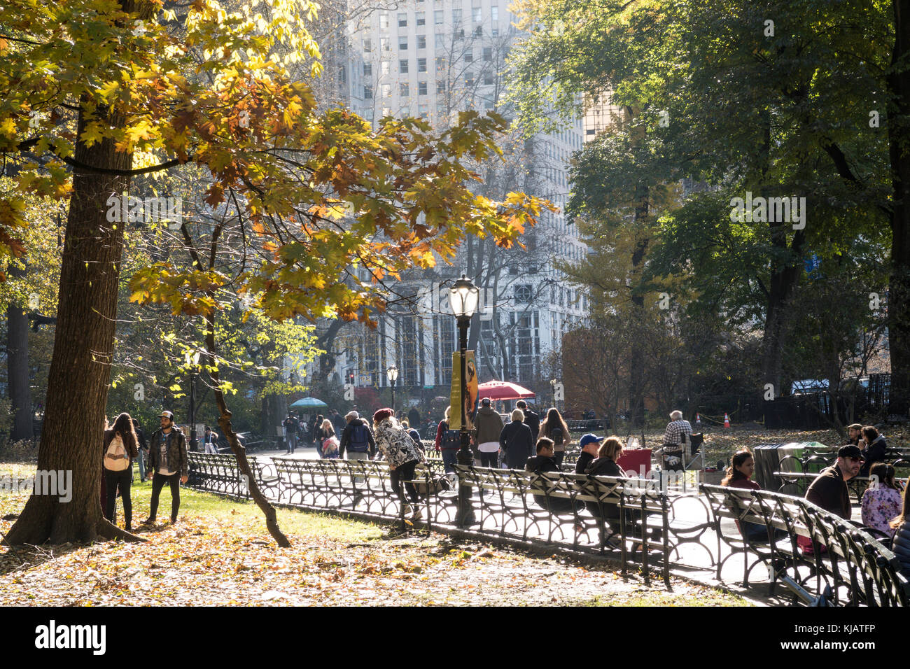 Central Park with Fall Foliage in Autumn, NYC, USA Stock Photo - Alamy