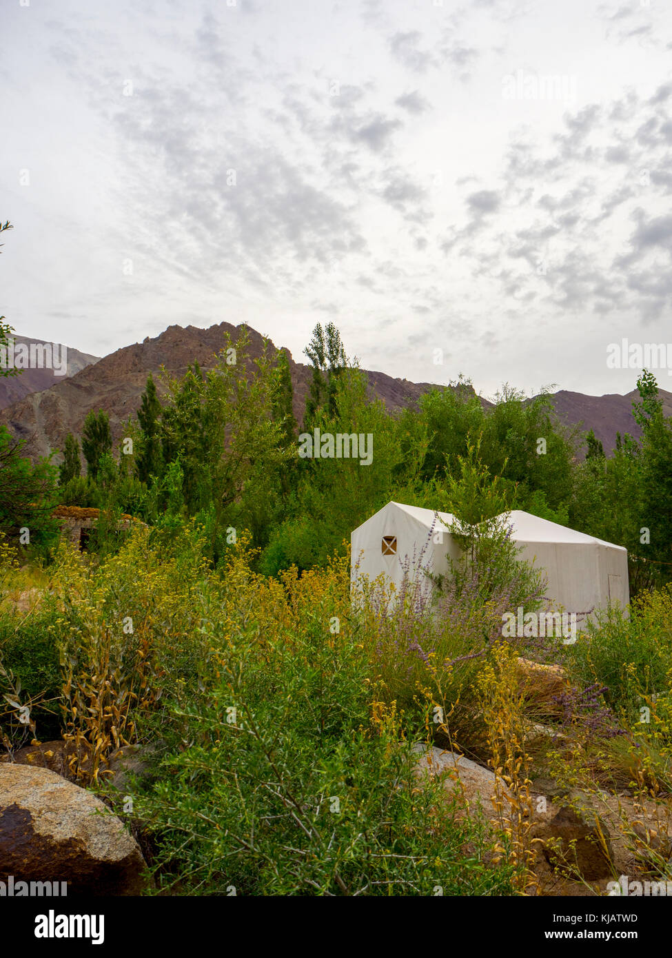 Sham Valley trek landscape - Ladakh India Stock Photo - Alamy