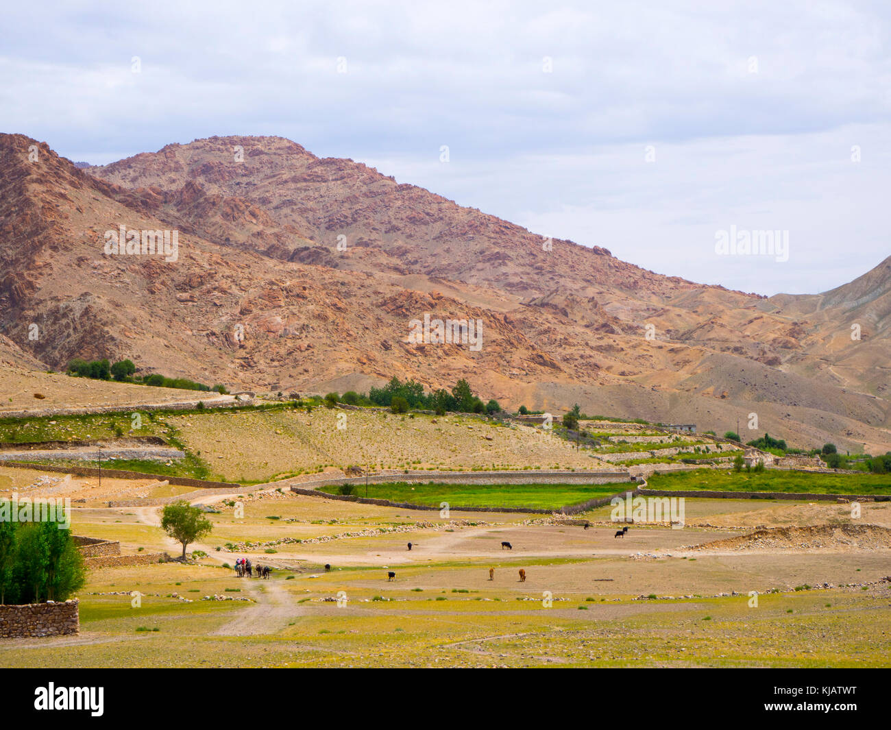 Sham Valley trek landscape - Ladakh India Stock Photo - Alamy