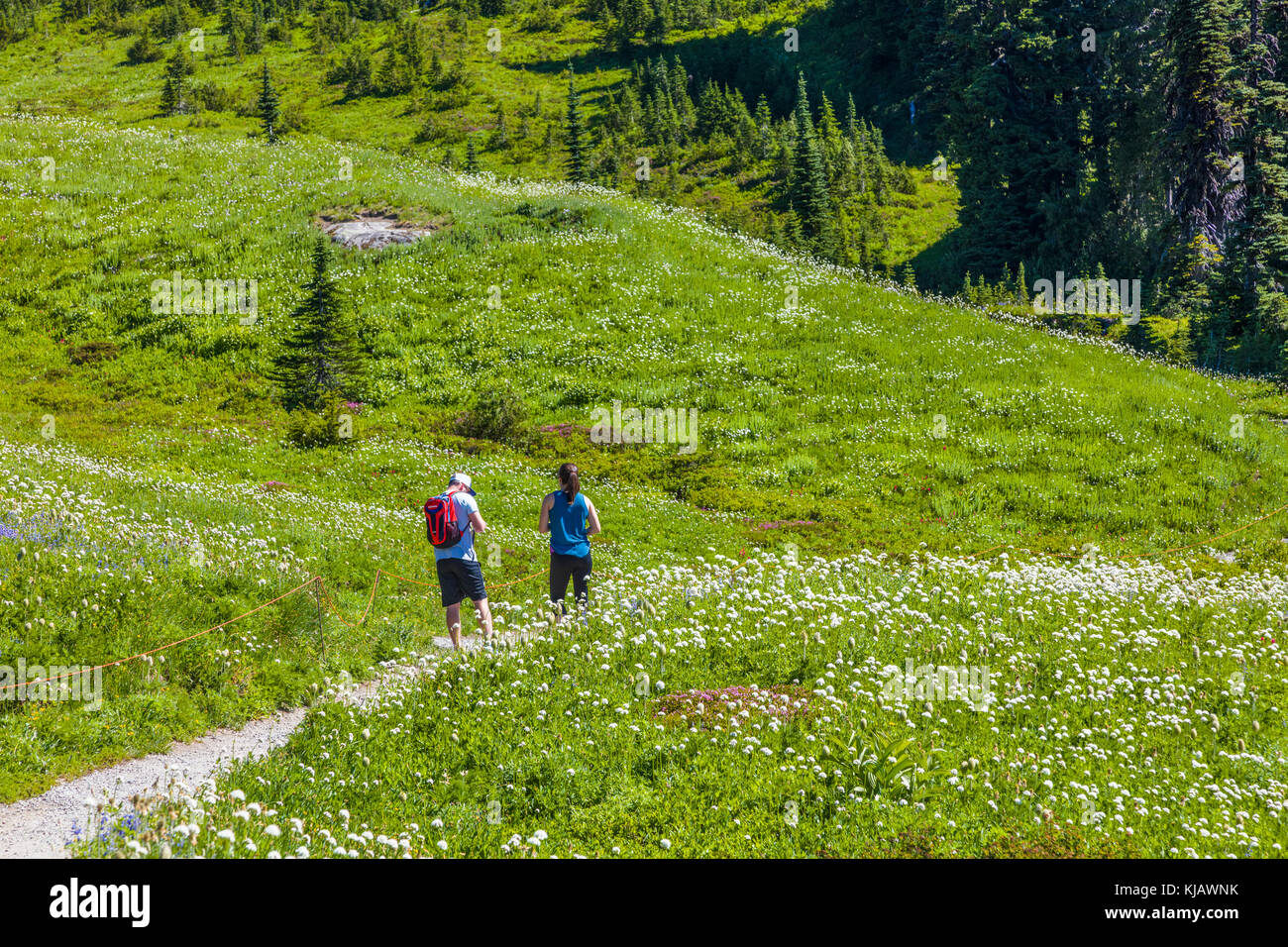 Golden Gate Trail at the Paradise section of Mount Rainier National ...