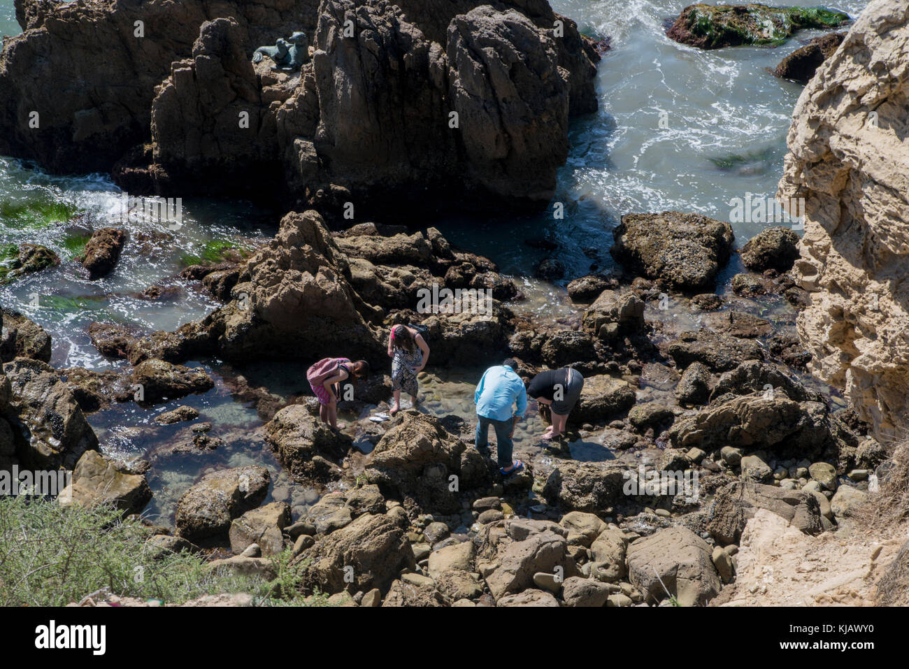 Family exploring beach hi-res stock photography and images - Alamy