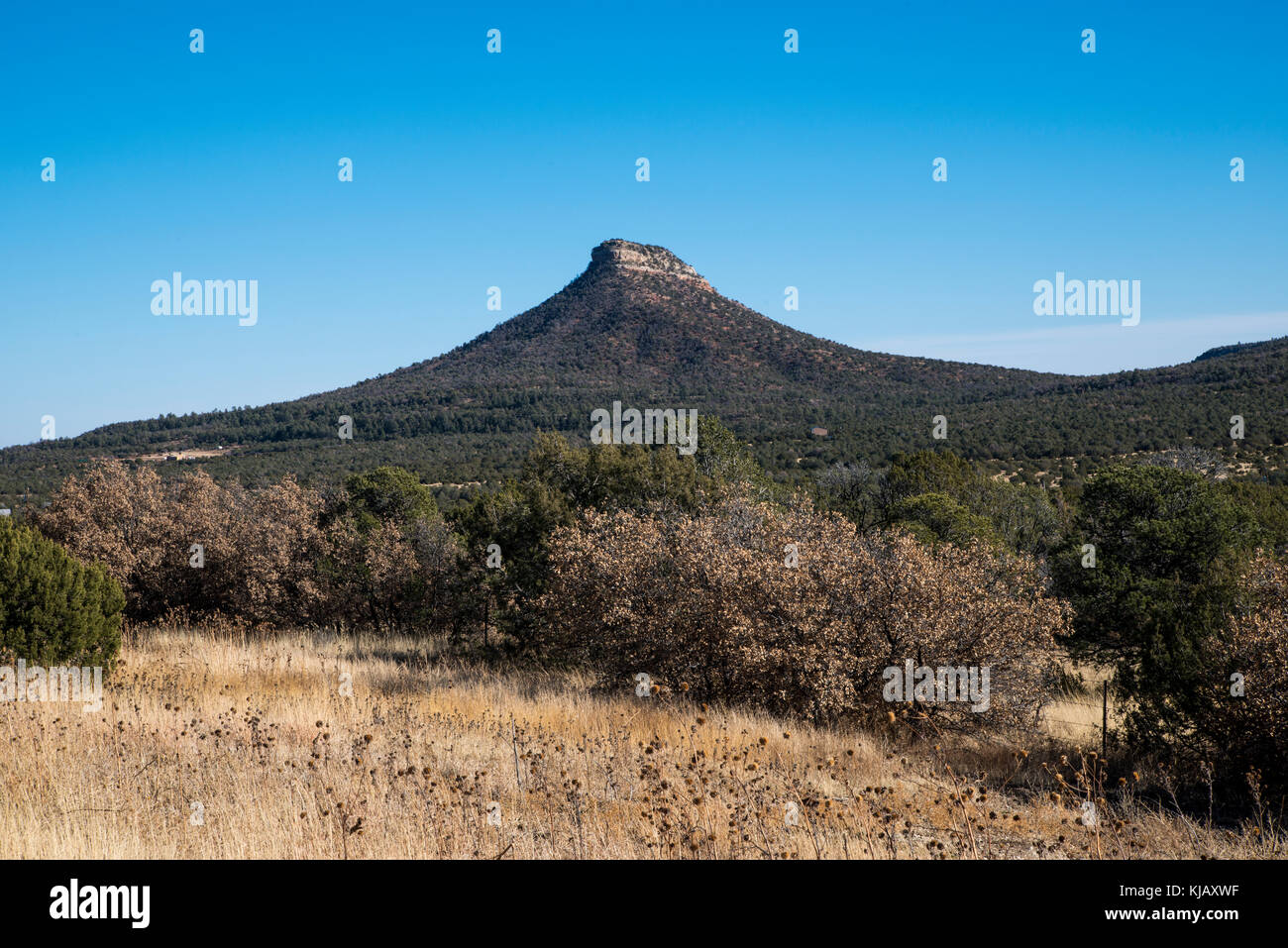 New Mexico landscape Stock Photo - Alamy