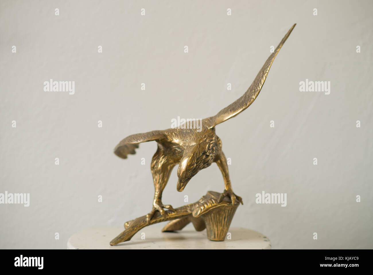 Golden eagle soaring hi-res stock photography and images - Alamy