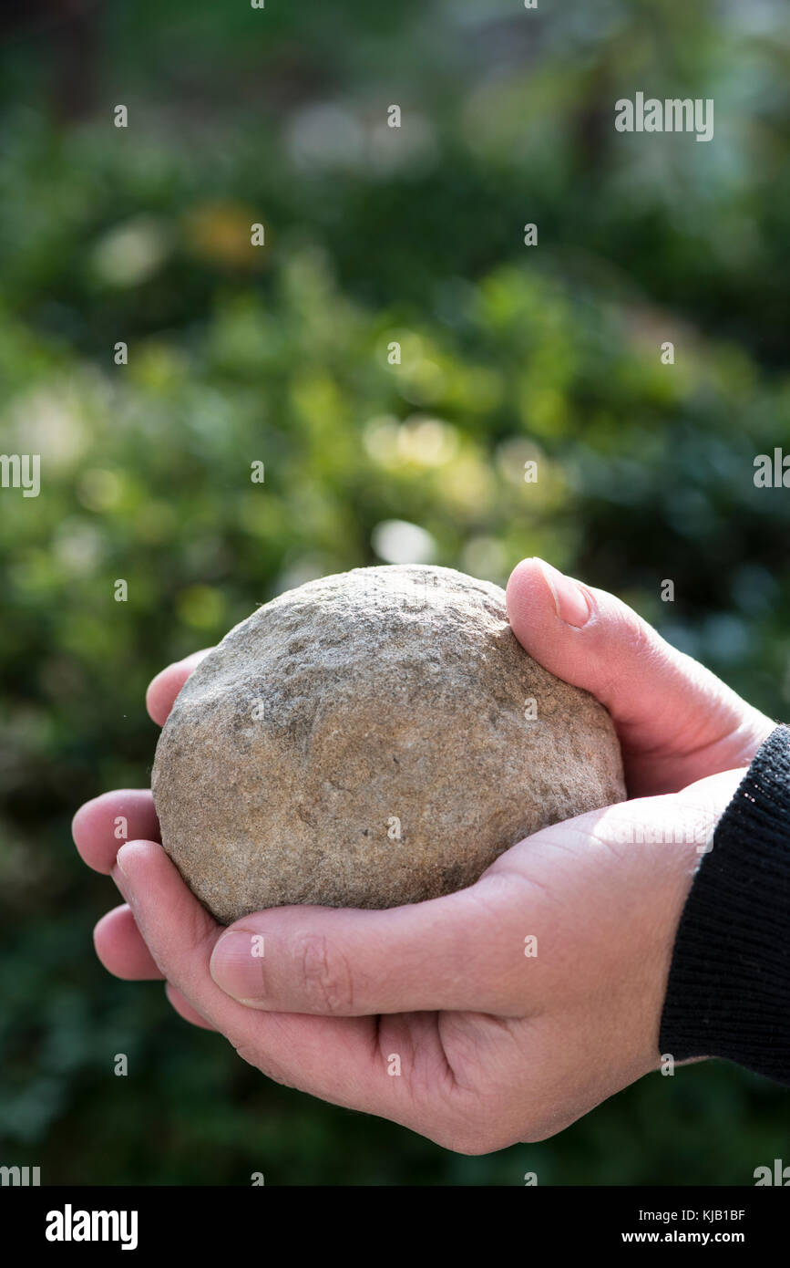 Hand hold stone ball in nature. Circular stone Stock Photo - Alamy