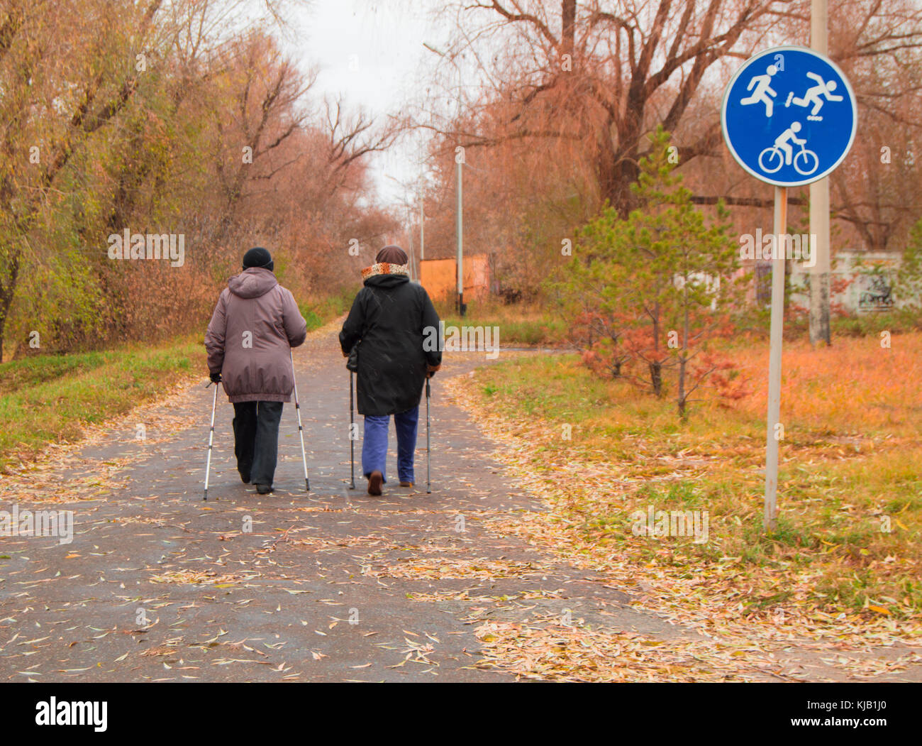 Two older women walking in autumn in the park hi-res stock photography ...