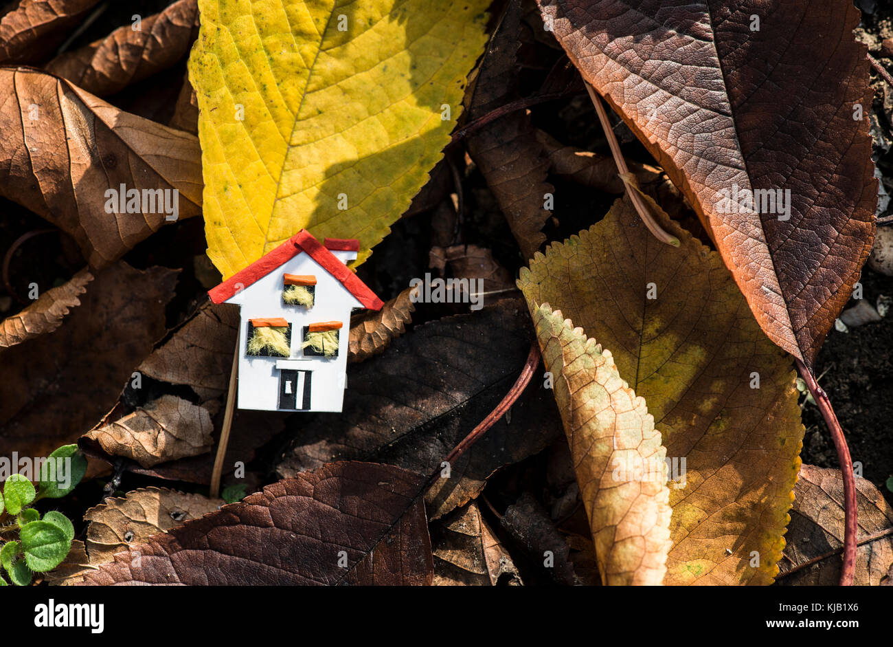 House model and autumn leaves. Paper house Stock Photo - Alamy