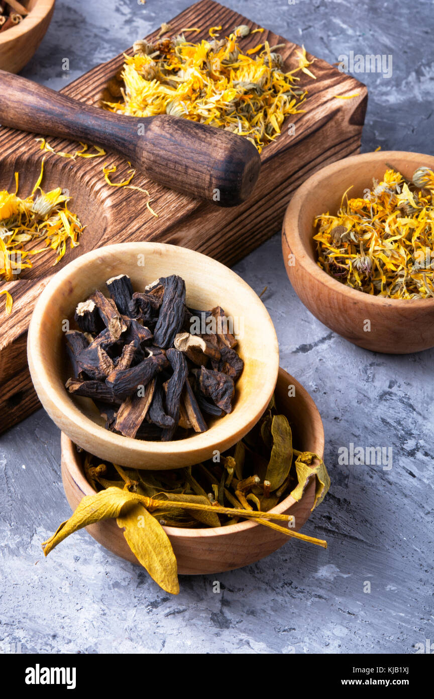 Healing herbs, plants and roots in wooden pots Stock Photo - Alamy