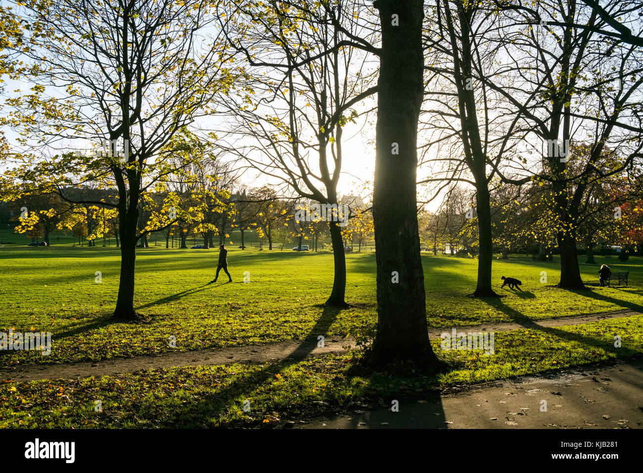 the Meadows park in Edinburgh, Scotland, United Kingdom Stock Photo - Alamy