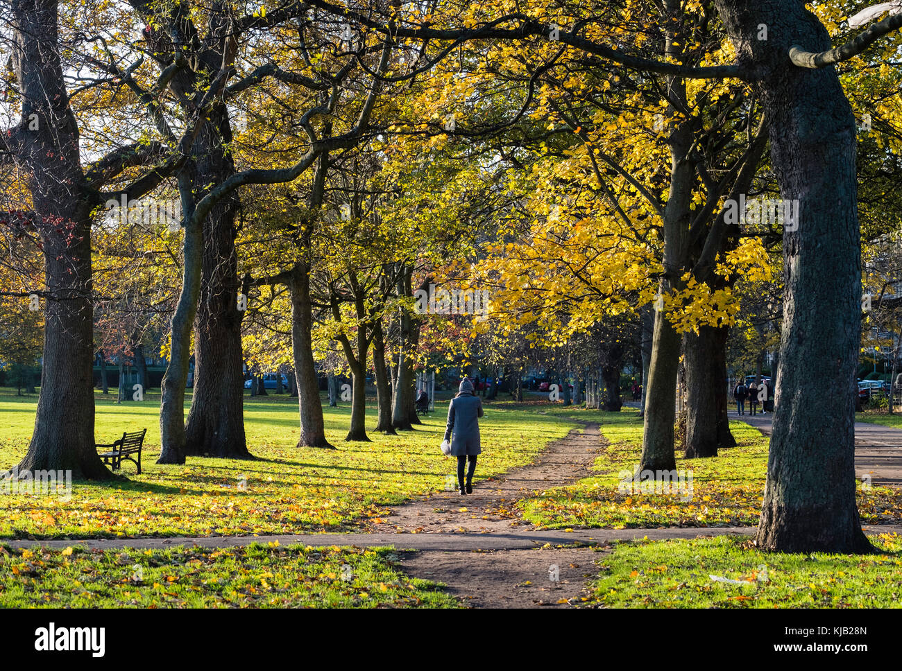 The meadows edinburgh hi-res stock photography and images - Alamy