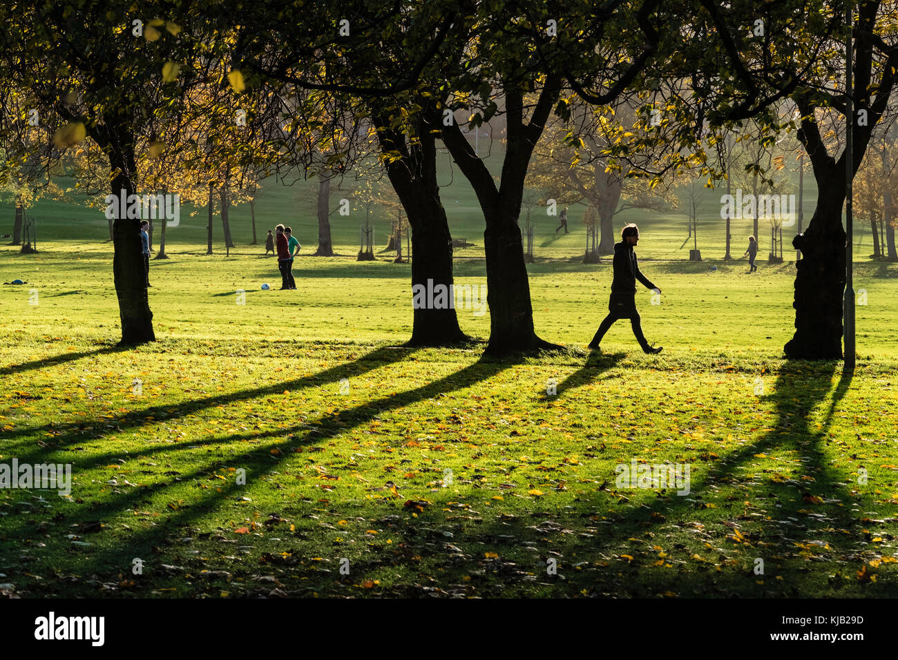 the Meadows park in Edinburgh, Scotland, United Kingdom Stock Photo - Alamy