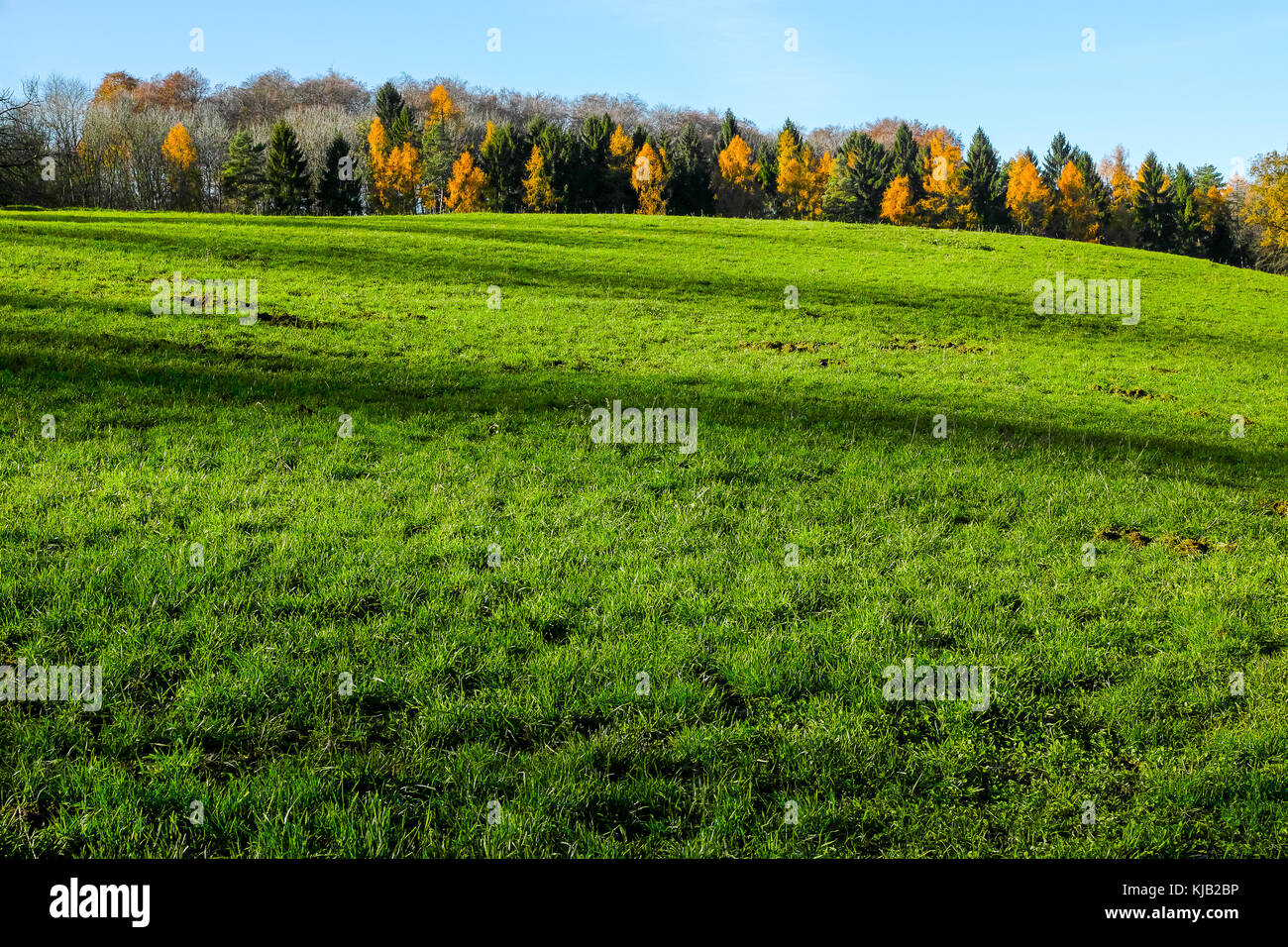 Beautiful Fall Colors of Black Forest, Germany Stock Photo - Alamy