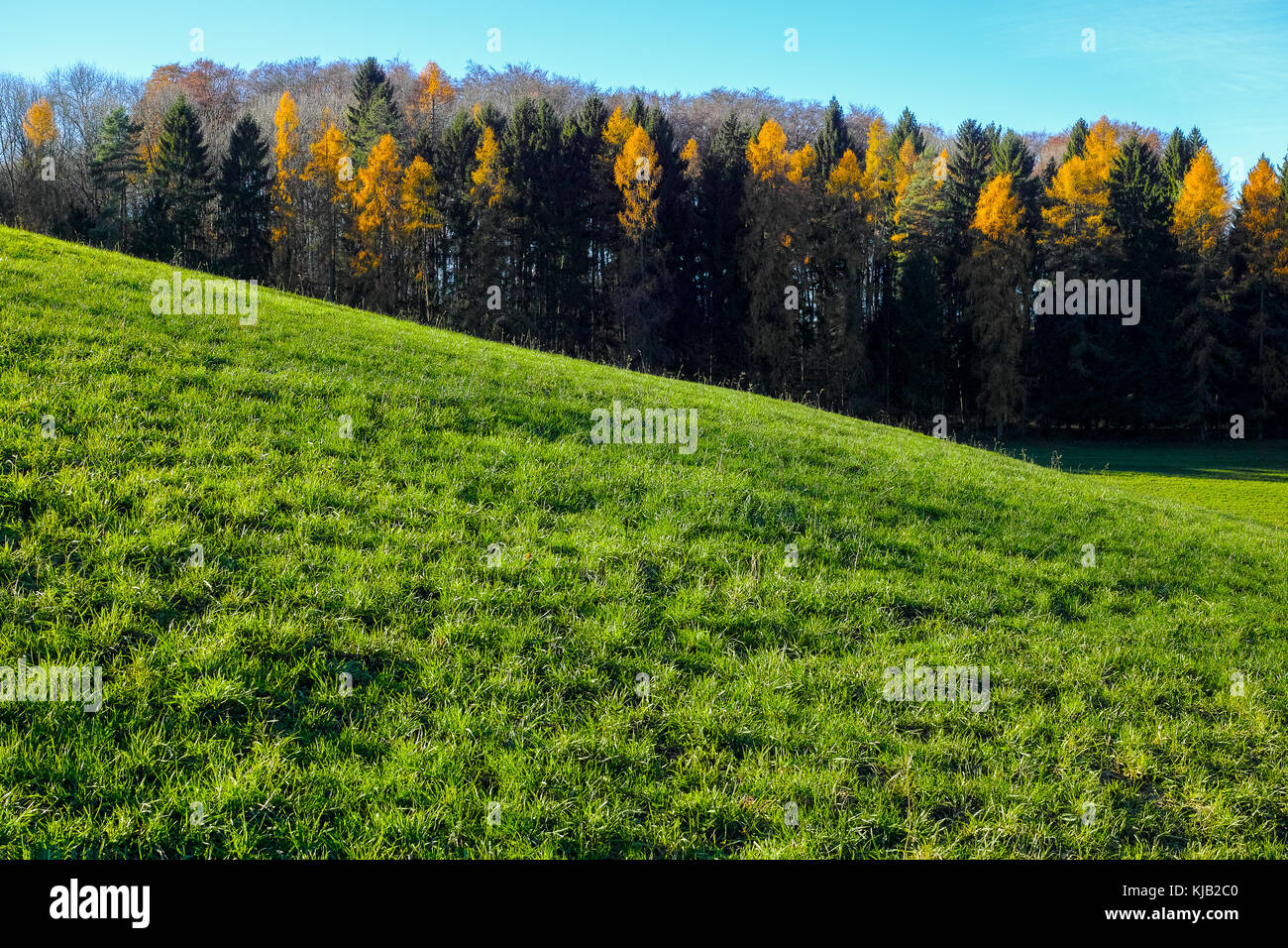 Beautiful Fall Colors of Black Forest, Germany Stock Photo - Alamy